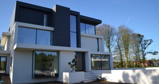 Case Studies - Morgan Ellis